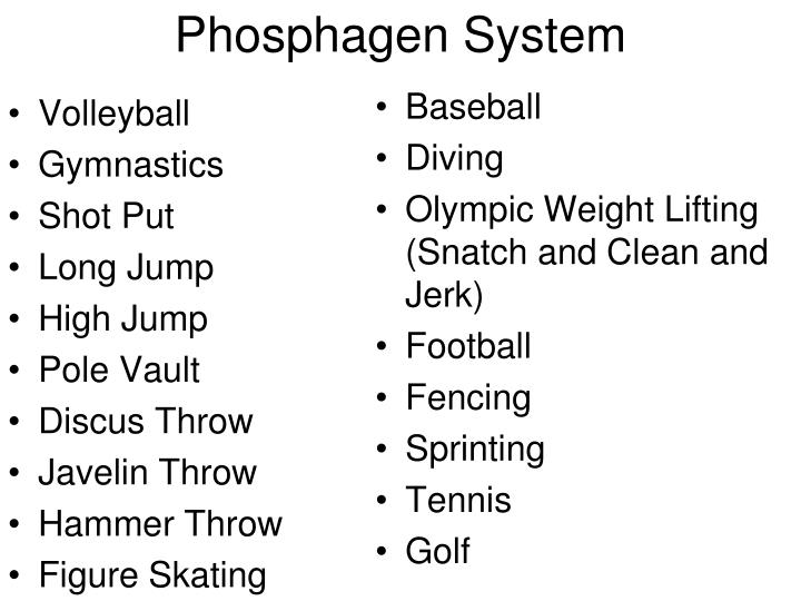 PPT - Bioenergetics of Exercise and Training PowerPoint Presentation ...