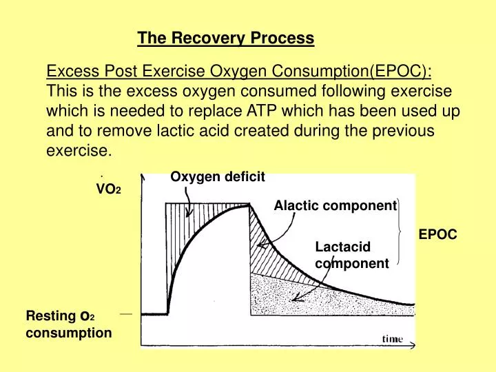 PPT - The Recovery Process PowerPoint Presentation, free download - ID ...