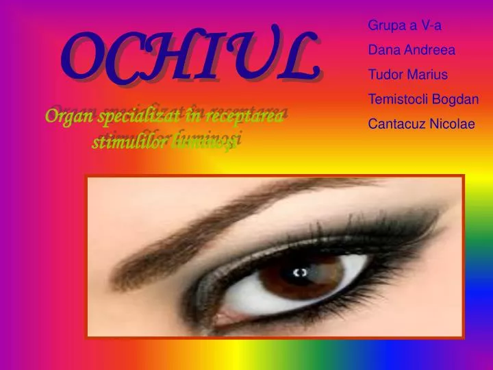 PPT - OCHIUL PowerPoint Presentation, free download - ID:4485619