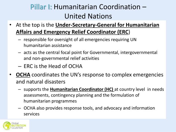 PPT - The Humanitarian System: Roles, Responsibilities and Coordination ...