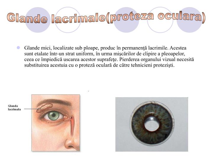 PPT - Ştiaţi că Ochii noştri Ochiul omenesc – aparat optic Formarea ...