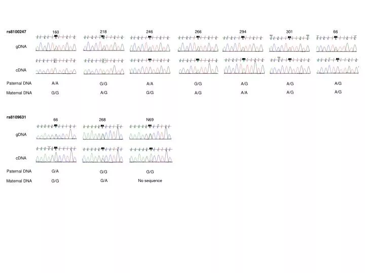PPT - gDNA PowerPoint Presentation, free download - ID:4486623