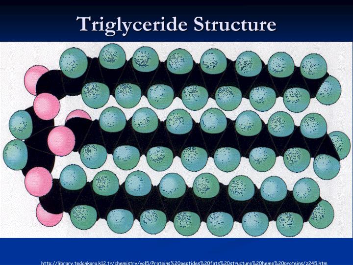 PPT - THE CHEMISTRY OF LIFE PowerPoint Presentation - ID:4487048