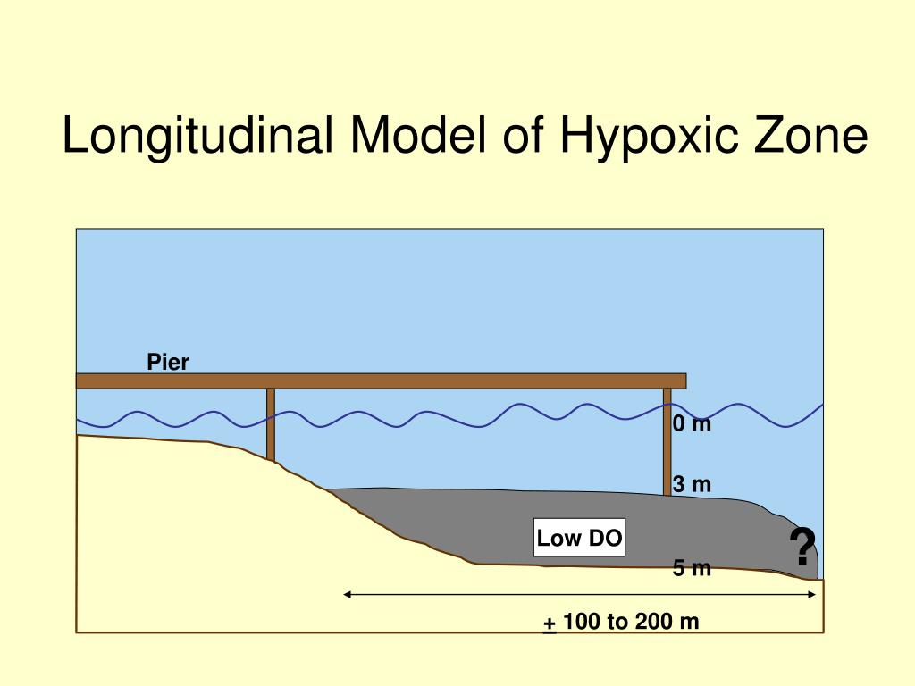 PPT - Hypoxia in the Surf Zone of the Grand Strand: Likely Causes ...