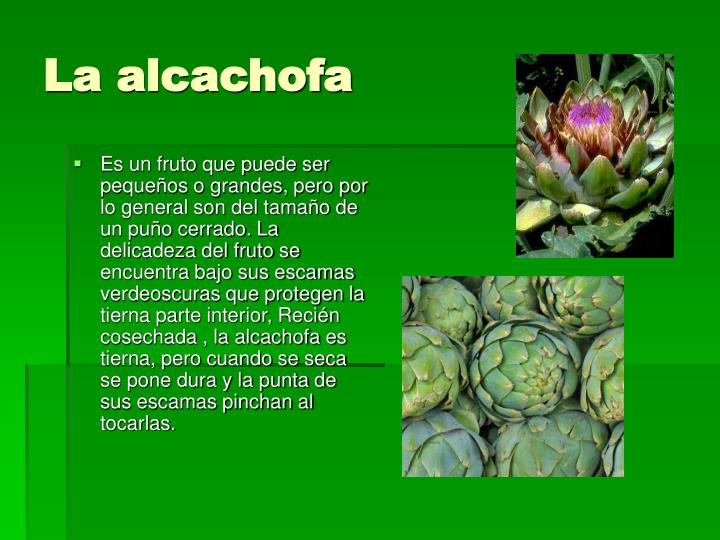 PPT - Oda a la alcachofa PowerPoint Presentation - ID:4487904