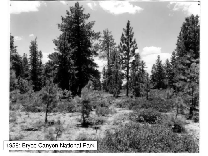 PPT - 1958: Bryce Canyon National Park PowerPoint Presentation, free download - ID:4489922