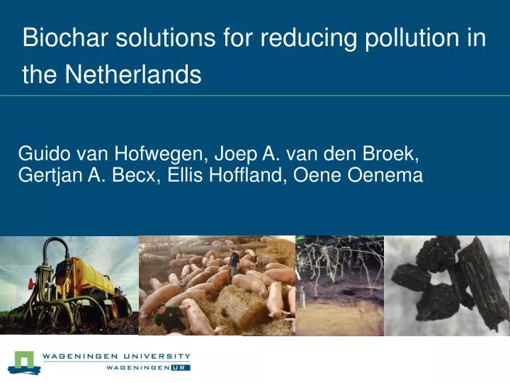 PPT - Biochar solutions for reducing pollution in the Netherlands ...