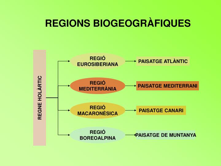 PPT - FACTORES PowerPoint Presentation - ID:4491373