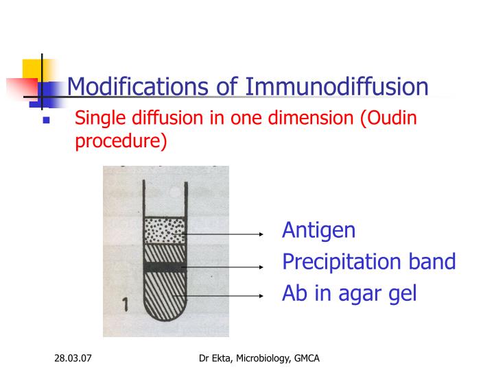 PPT - Serological Reactions PowerPoint Presentation - ID:4491488