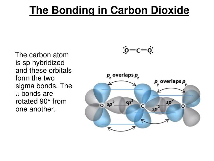 PPT - Chapter 9 PowerPoint Presentation - ID:4493524