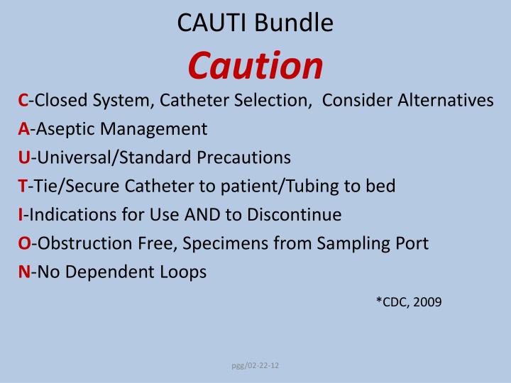 PPT - Prevention of Catheter Associated Urinary Tract Infections (CA ...