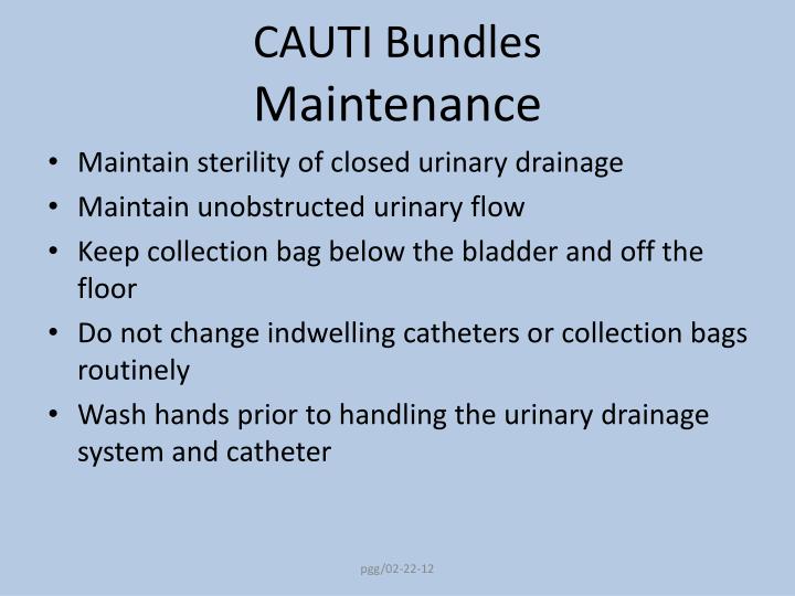 PPT - Prevention of Catheter Associated Urinary Tract Infections (CA ...