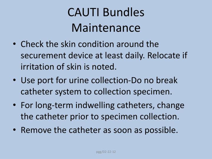 PPT - Prevention of Catheter Associated Urinary Tract Infections (CA ...