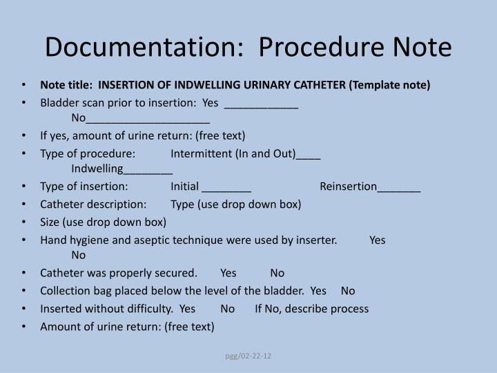 PPT - Prevention of Catheter Associated Urinary Tract Infections (CA ...