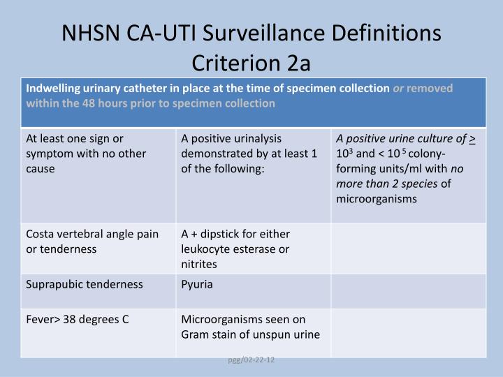PPT - Prevention of Catheter Associated Urinary Tract Infections (CA ...