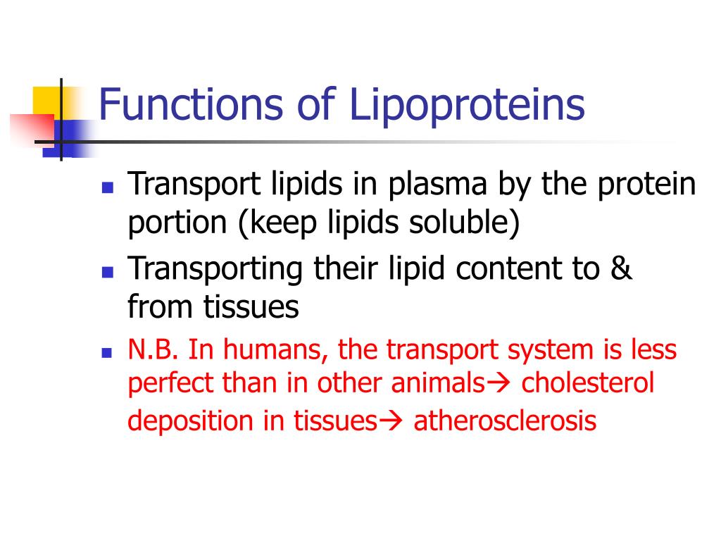 PPT - Plasma Lipoproteins PowerPoint Presentation, free download - ID ... PPT - Plasma Lipoproteins PowerPoint Presentation, free download - ID ...