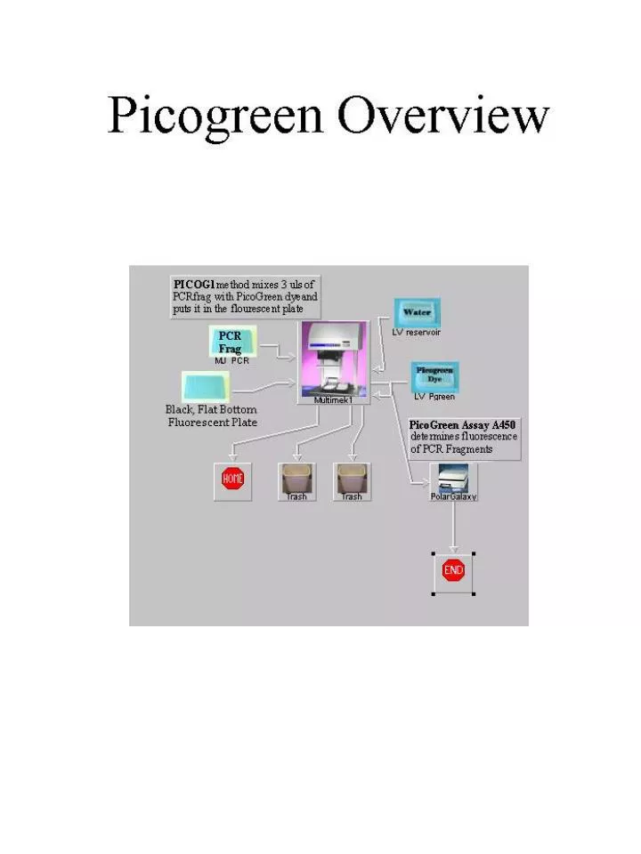 PPT - Overview of Picogreen PowerPoint Presentation, free download - ID ...