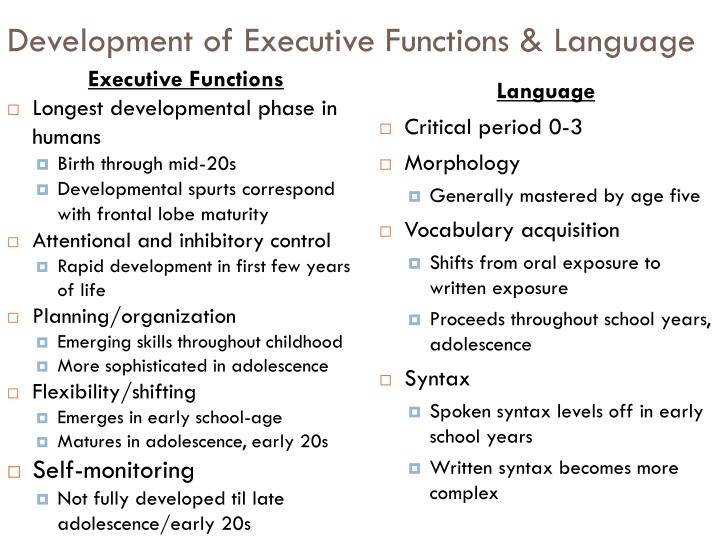 Ppt The Relationship Between Executive Function And Language 7818