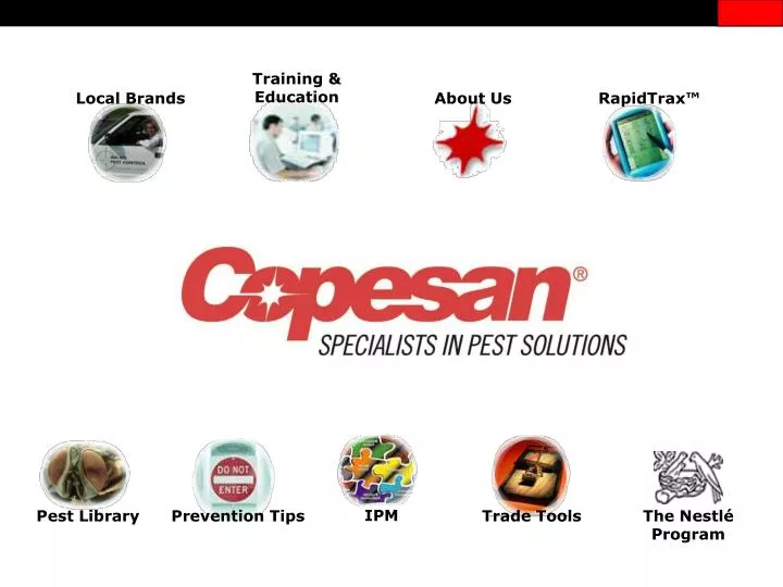 PPT - Local Brands PowerPoint Presentation, free download - ID:4495692