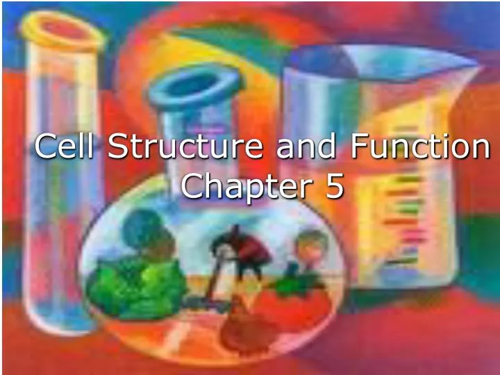PPT - Cell Structure and Function Chapter 5 PowerPoint Presentation ...
