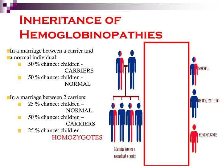 PPT - Thalassemia and Hemoglobinopathies PowerPoint Presentation - ID ...