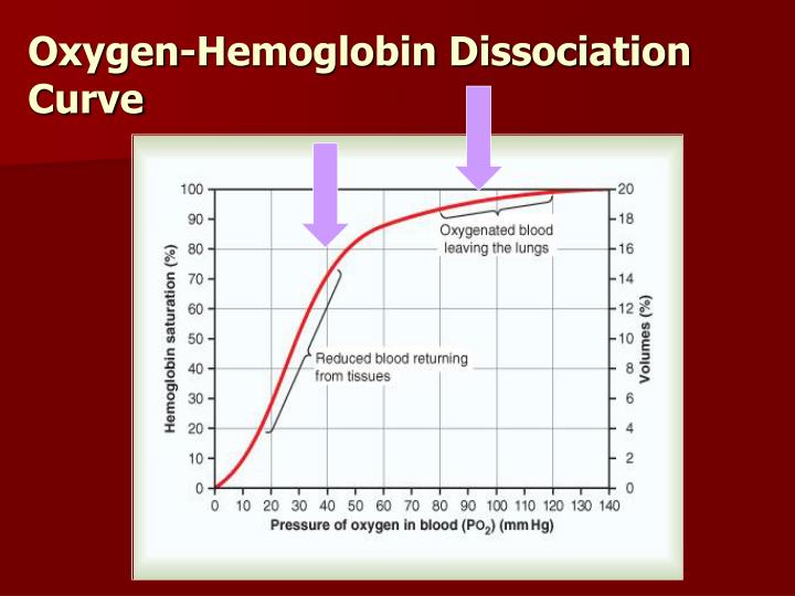 PPT - Transport of Oxygen & Carbon Dioxide PowerPoint Presentation - ID ...