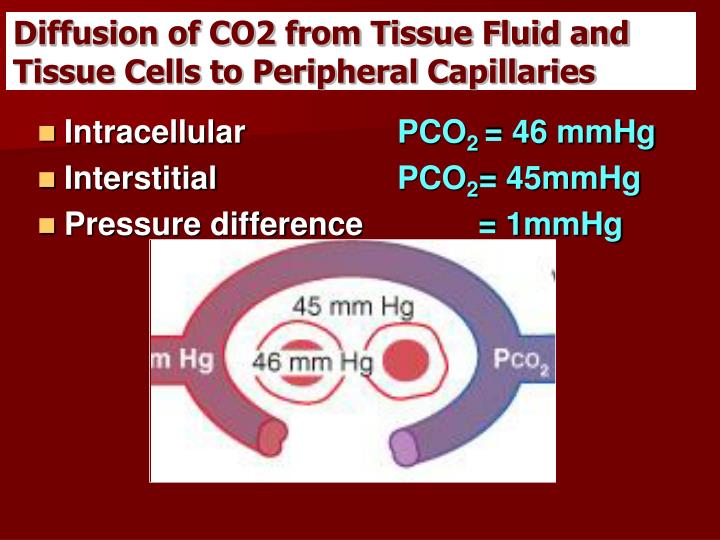 PPT - Transport of Oxygen & Carbon Dioxide PowerPoint Presentation - ID ...
