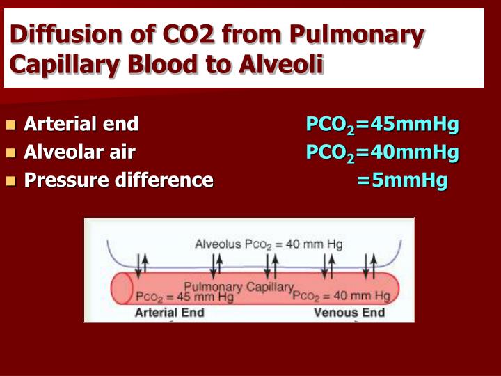 PPT - Transport of Oxygen & Carbon Dioxide PowerPoint Presentation - ID ...