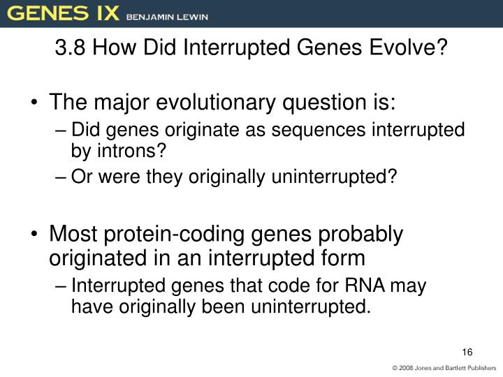 PPT - The Interrupted Gene PowerPoint Presentation - ID:4498649