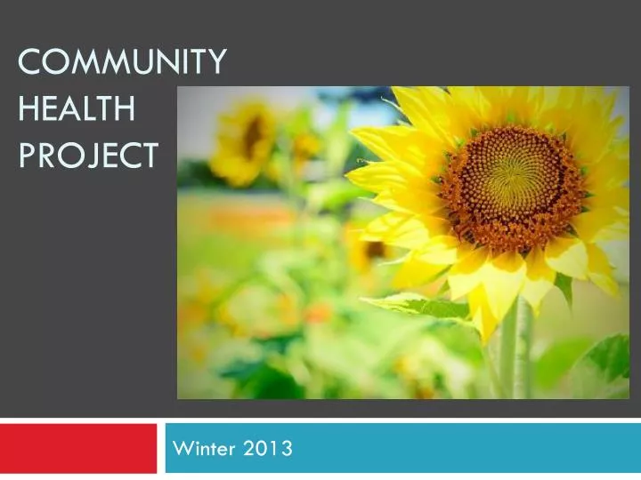 PPT - Community Health Project PowerPoint Presentation, free download ...