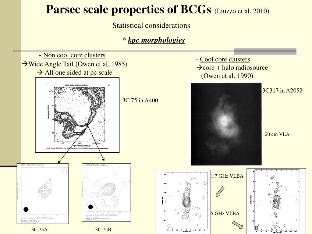 PPT - Elisabetta Liuzzo (1,2) Gabriele Giovannini (1,2) Marcello ...