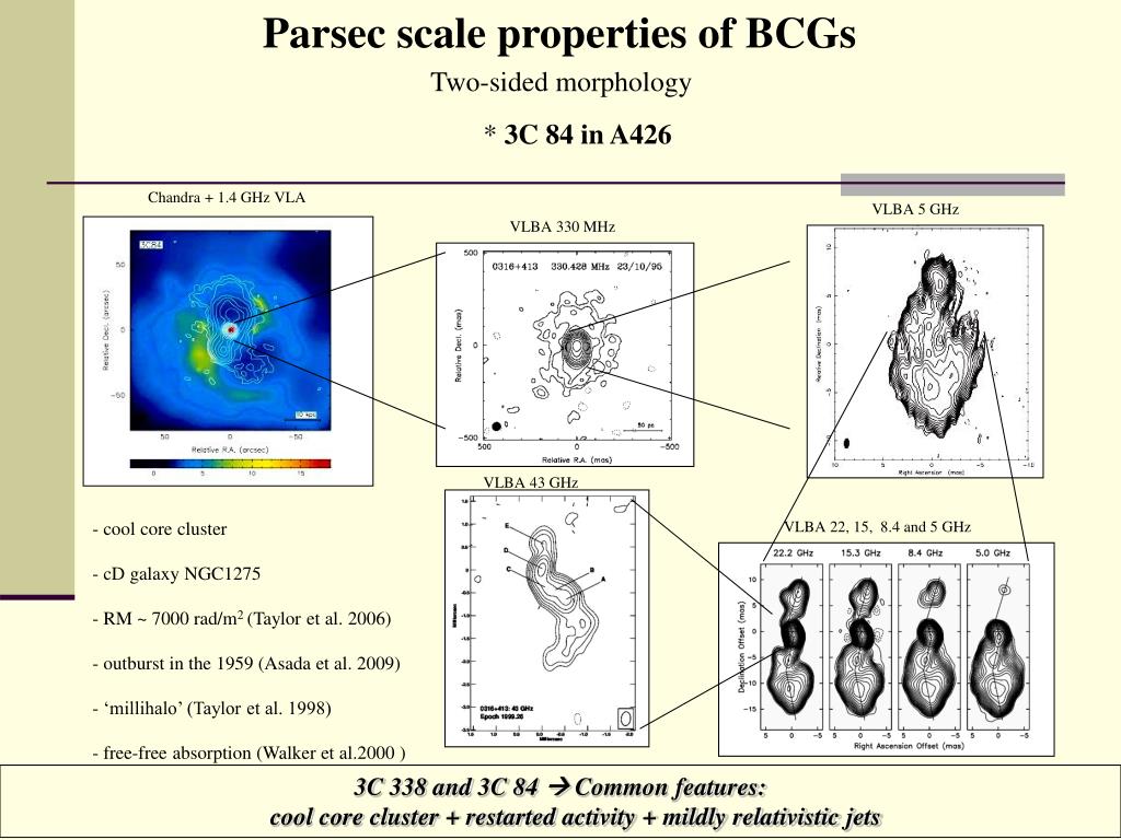 PPT - Elisabetta Liuzzo (1,2) Gabriele Giovannini (1,2) Marcello ...
