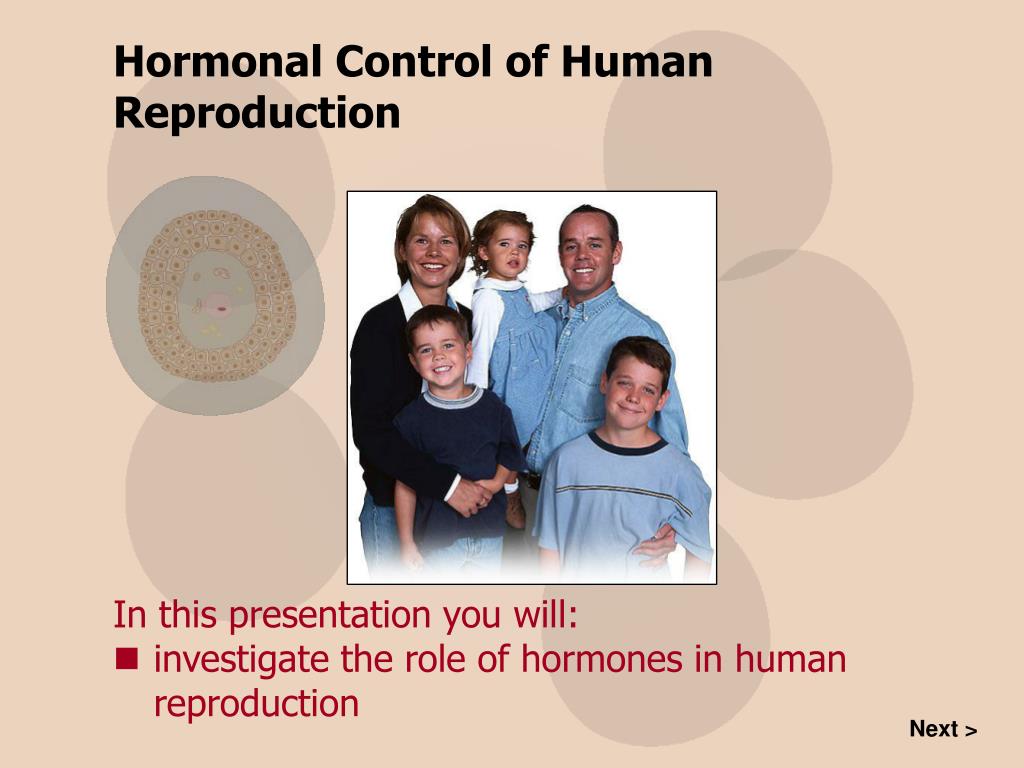 PPT - In this presentation you will: investigate the role of hormones ...
