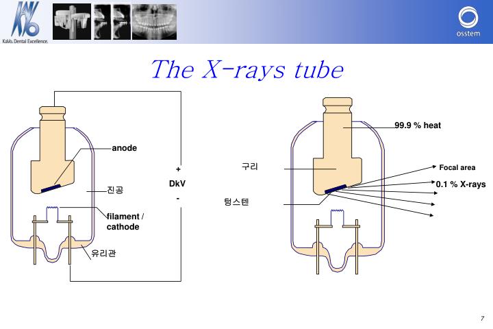 PPT - 치과 방사선학의 원리 PowerPoint Presentation - ID:4500127