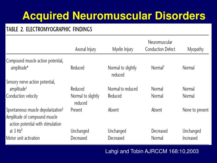 PPT - Poly-Neuropathy in Critical Care Patients PowerPoint Presentation ...