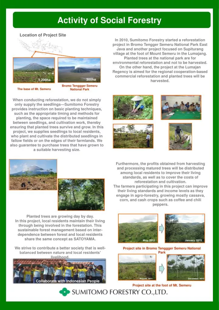 PPT - Activity of Social Forestry PowerPoint Presentation, free ...