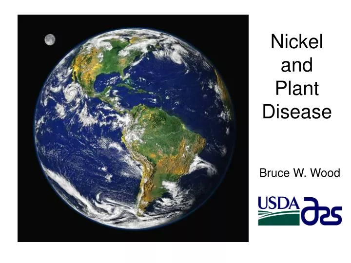 PPT - Nickel and Plant Disease PowerPoint Presentation, free download ...