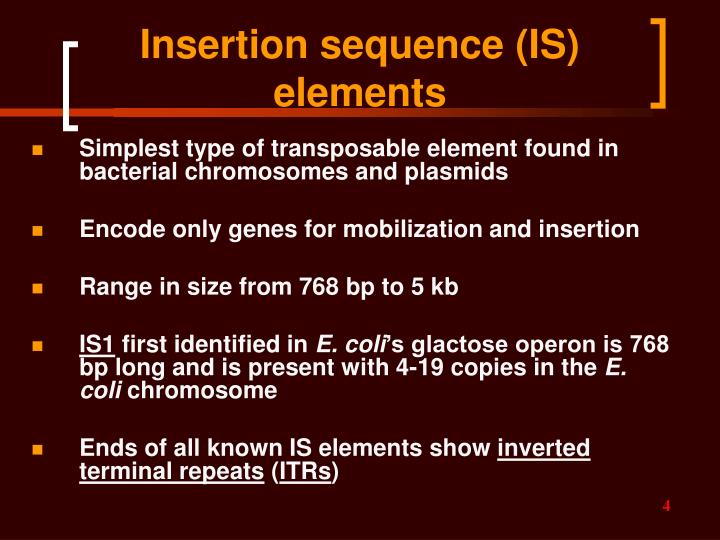 PPT - Transposons PowerPoint Presentation - ID:4501488
