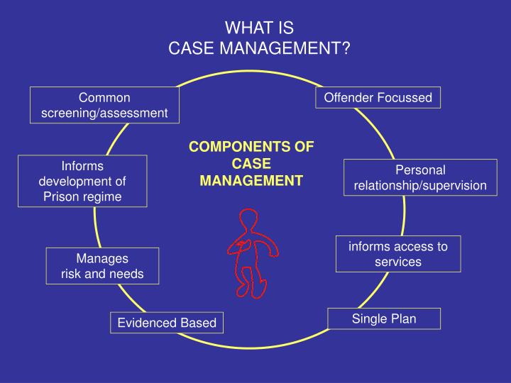 PPT - Basic Custody Screening Tool (BCS) PowerPoint Presentation - ID ...