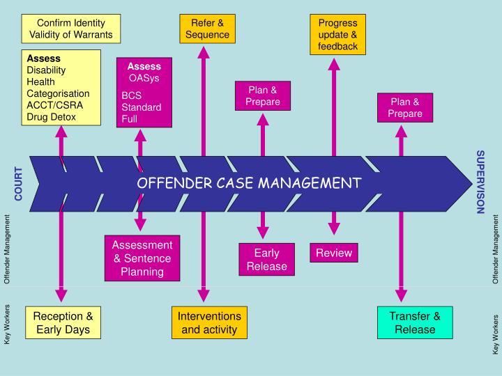 PPT - Basic Custody Screening Tool (BCS) PowerPoint Presentation - ID ...