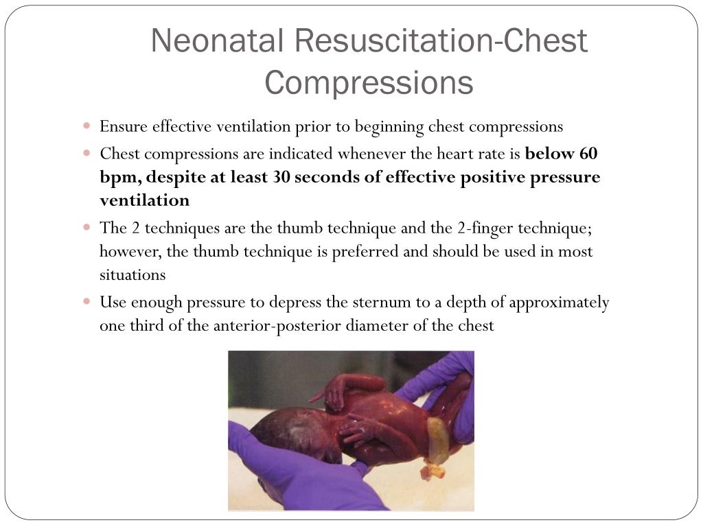 Ppt Neonatal Resuscitation Provider Powerpoint Presentation Free