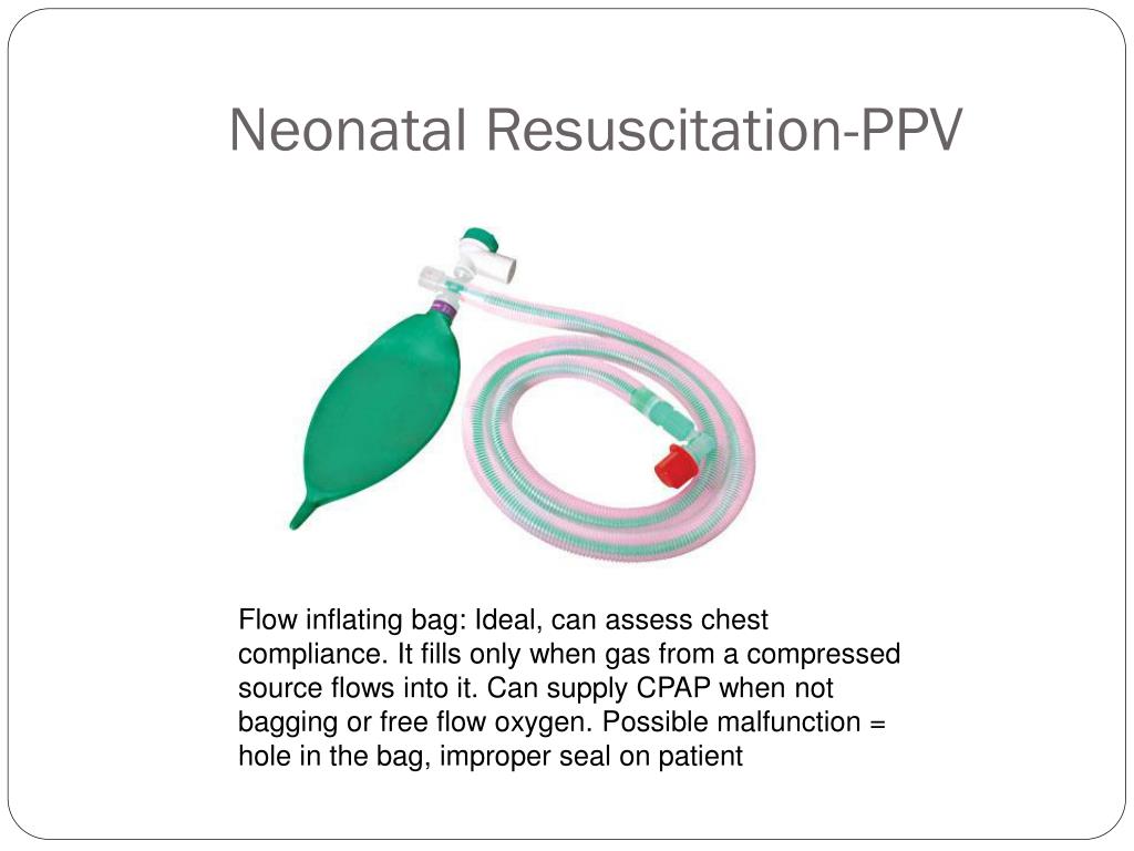 Ppt Neonatal Resuscitation Provider Powerpoint Presentation Free