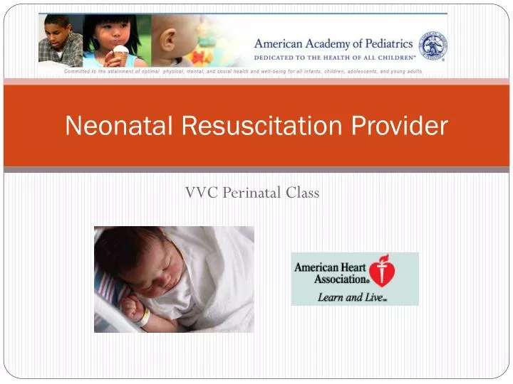 PPT - Neonatal Resuscitation Provider PowerPoint Presentation, free ...