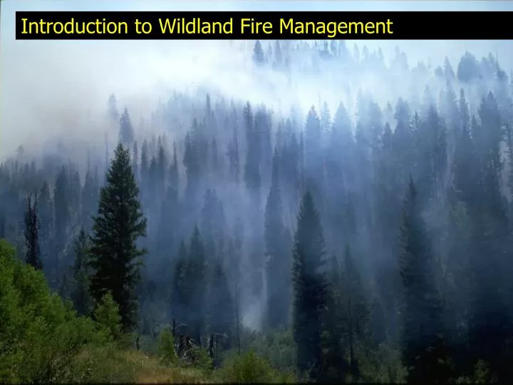 PPT - Introduction to Wildland Fire Management PowerPoint Presentation ...
