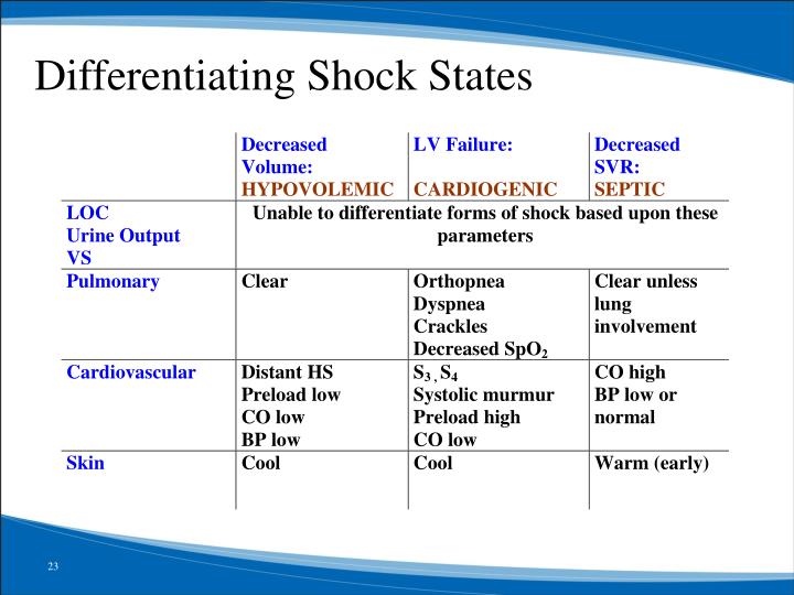 PPT - CONCEPTS OF NORMAL HEMODYNAMICS AND SHOCK PowerPoint Presentation ...