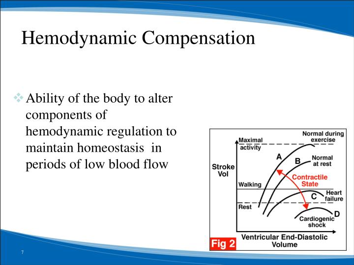 PPT - CONCEPTS OF NORMAL HEMODYNAMICS AND SHOCK PowerPoint Presentation ...