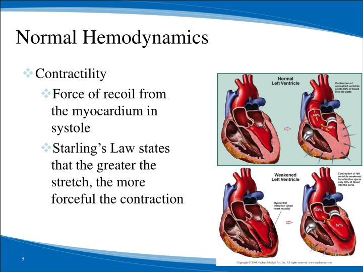 PPT - CONCEPTS OF NORMAL HEMODYNAMICS AND SHOCK PowerPoint Presentation - ID:4504715