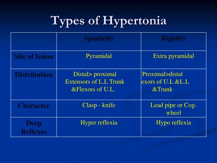 PPT - Neurological Sheet PowerPoint Presentation - ID:4506051