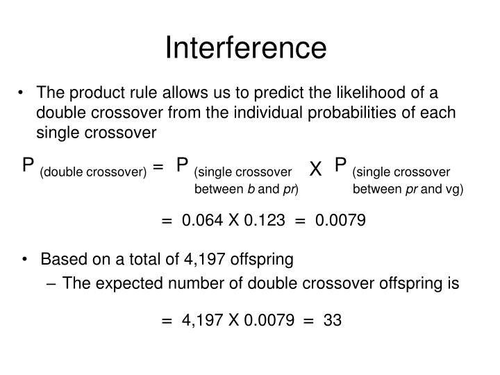 PPT - (CHAPTER 5- Brooker Text) PowerPoint Presentation - ID:4506378