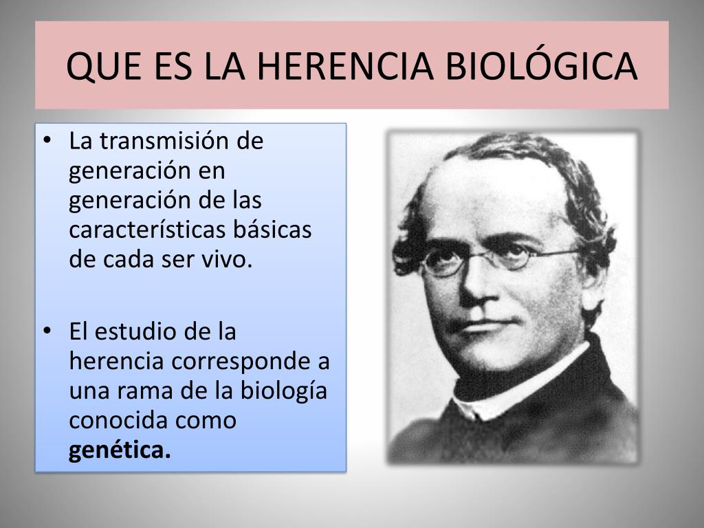 Ppt La Herencia Biologica Powerpoint Presentation Free Download Id